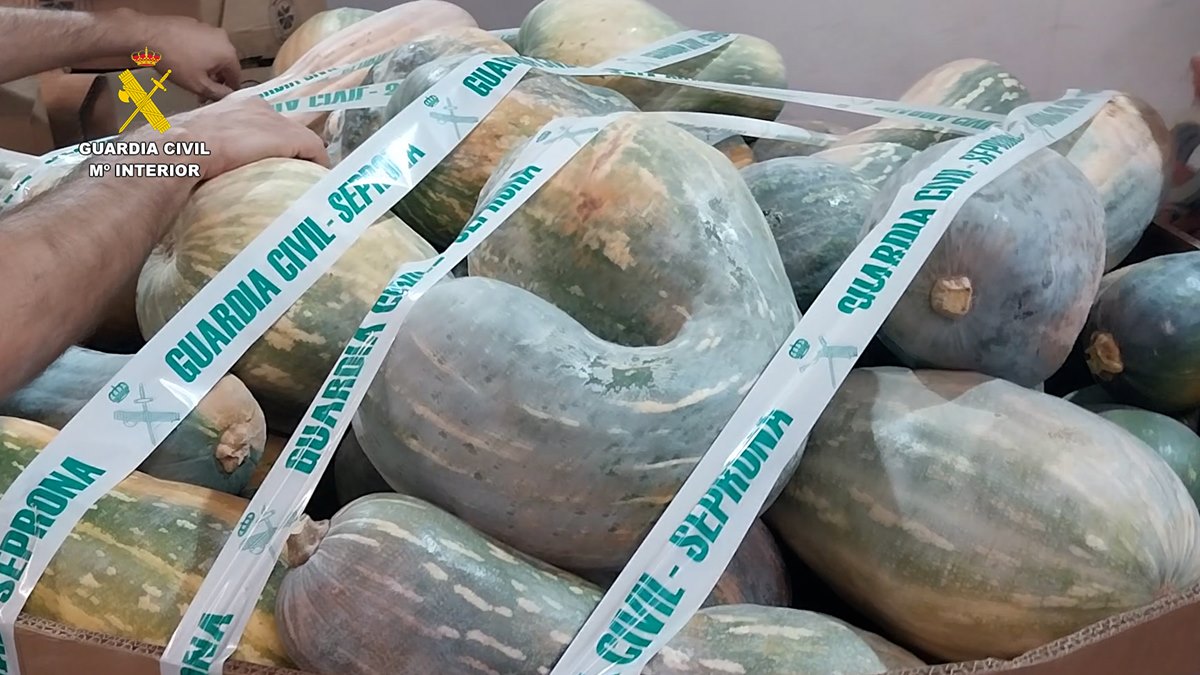 Intervenidas casi diez toneladas de fruta y verdura comercializada ...